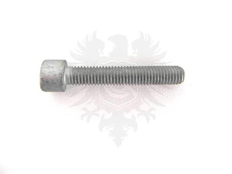 Axle Bolt, Inner 5 Speed Manual – Cascade German Parts