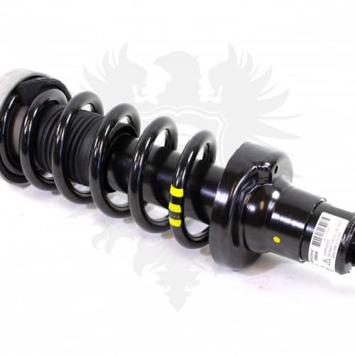 Strut Assembly, R8 4.2L Rear – Cascade German Parts