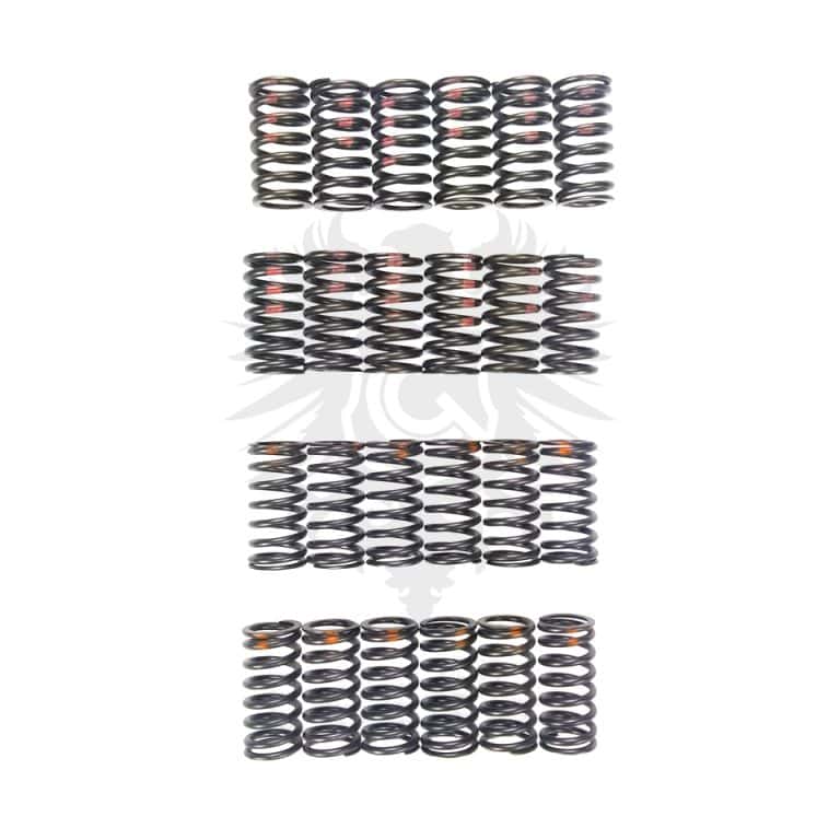 Dual Rate Valve Springs, M57 – Cascade German Parts