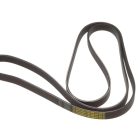 Cascade German – Cascade German Parts